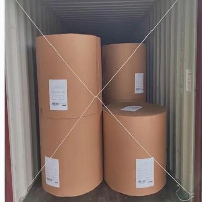 China Bible printing paper parchment bible paper roll for sale
