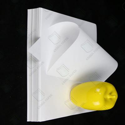 China Professional Thin Printing Paper for Pharmaceutical Leaflets and Booklets, Bibles, Dictionaries Printing for sale