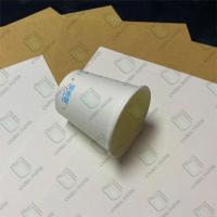 China Kraft Back Liquid Packaging Board PE Coated Food and Beverage Packaging Board Lpb for sale