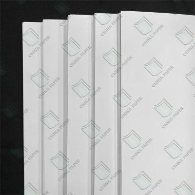 China Heat And Cold Resistant PE Coated Cupstock Paper For Paper Bowl And Food Packaging for sale