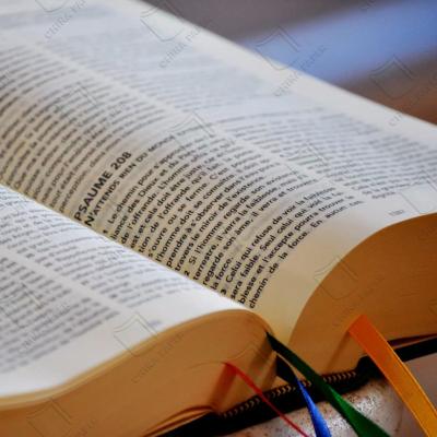 China Low weight uncoated  offset paper  used for printing Bible or Quran or Dictionary for sale