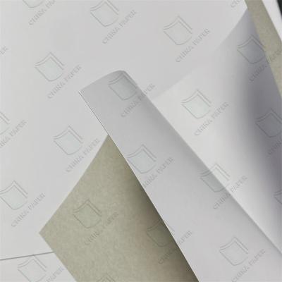 China Gray-White Cardstock With Perforations Easy-Tear Coupons Tickets & Raffle Cards for sale