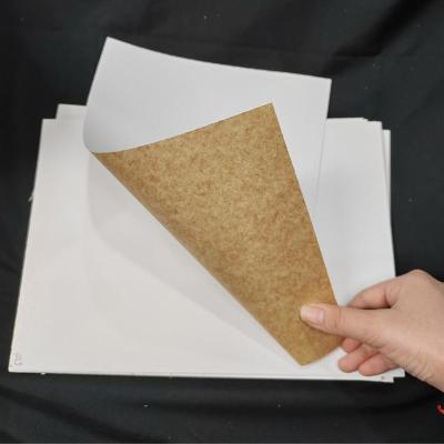 China High Performance Coated Kraft Board For Baking Box for sale