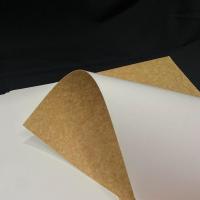 China Biodegradable Coated Kraft Paper Food Containers  Substance 190gsm-350gsm for sale