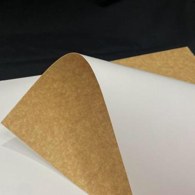 China Bulk Order Compostable Coated Kraft Paper French Fry Cones With Factory Pricing for sale