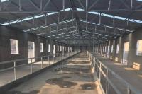 China ISO1461 Steel Structure Poultry House 50 - 100mm Panel Steel Cattle Buildings for sale