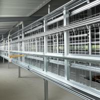 China ISO1461 Steel Structure Poultry House 50 - 100mm Panel Steel Cattle Buildings for sale