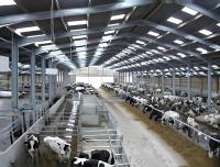 China Corrosion Resistant Steel Structure Poultry House 8 - 30 Meters Steel Farm Buildings for sale