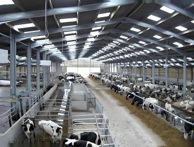 China Corrosion Resistant Steel Structure Poultry House 8 - 30 Meters Steel Farm Buildings for sale