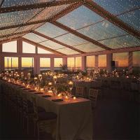China Aluminum Alloy 6061 PVC Canopy Clear Wedding Marquee Tent 200 500 Seaters for sale