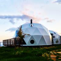 China Hotel Decoration Igloo Geodesic Dome Tent Wind Resistant for sale