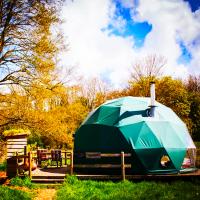 China Hemispherical Hotel Living Geodesic Dome Tent For Outdoor Camping for sale