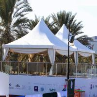 China PVC Wall Gazebo Canopy Pagoda Easy Up Tent For Birthday Party for sale