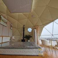 China 6m Diameter Geodesic Winter Party Tent Dome Glamping Resort Hotel Room for sale