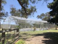 China 300 Seater Clear Wedding Marquee 10x30 Commercial Event Tent Australia Style for sale