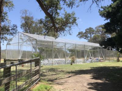 China 300 Seater Clear Wedding Marquee 10x30 Commercial Event Tent Australia Style for sale