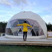 China 32ft Half Sphere Backyard Geodesic Dome Tent PVC Door Galvanized Steel Tubes for sale