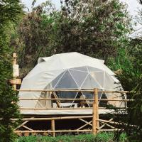 China 32ft Half Sphere Backyard Geodesic Dome Tent PVC Door Galvanized Steel Tubes for sale