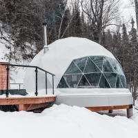 China Well Insulated Geodesic Camping Dome North Face Snow Resistant Tourism for sale