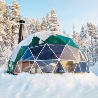 China Well Insulated Geodesic Camping Dome North Face Snow Resistant Tourism for sale