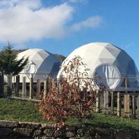 China Waterproof Clear Window Geodesic Dome Tent Camping Zipper Door for sale