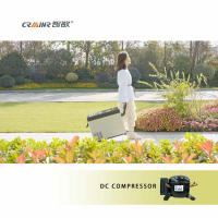 China DC Compressor Portable Car Refrigerator Cooler 40L Capacity For Picnic for sale