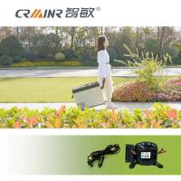 China New Technology Mini Portable Car Refrigerator With Trolley Handle Tempered Glass for sale
