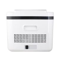China 12V 220V DC Mini Travel Refrigerator 18L With Digital Display Thermostat for sale
