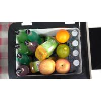 China 12V 220V DC Mini Travel Refrigerator 18L With Digital Display Thermostat for sale