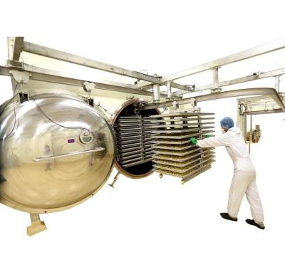 China 1000kg Industrial Freeze Drying Machine with 100m² Drying Area and 249KW Power Capacity for sale