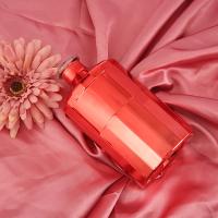 China Customized 750 ml Electroplating Rum Brandy Wine Glass Bottle Made of Super Flint Glass for sale