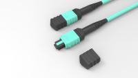 China OM4 LSZH Fiber Optic Patch Cable 12 Fibers MPO MTP Trunk Cable for sale