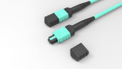 China OM4 LSZH Fiber Optic Patch Cable 12 Fibers MPO MTP Trunk Cable for sale