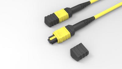 China MPO MTP Patch Cord Singlemode 12 Core Fiber Optic Trunk Cable LSZH for sale