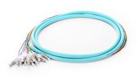 China Sc LC FC St MTRJ Connectors Fiber Optic Pigtail 12 Core Indoor FTTH Optical Pigtail for sale