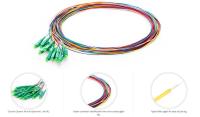 China 12 Core 0.9mm Fiber Optic Pigtail Sc LC FC St Connector Optical Pigtails In Telecommunication for sale
