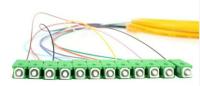 China Sc APC Upc Fiber Optic Pigtail 12 Cord Fibers Bunch Pigtail Multimode Single Mode for sale