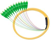 China Sc APC Upc Fiber Optic Pigtail 12 Cord Fibers Bunch Pigtail Multimode Single Mode for sale