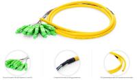 China Sc APC Upc Fiber Optic Pigtail 12 Cord Fibers Bunch Pigtail Multimode Single Mode for sale