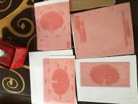 China High Resolution Flexo Printing Resin Board Imaging Shimei Digital Plates for sale