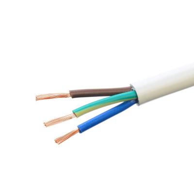 China European Standard 2/3 Core Shielded Power Cable 1.8M Length Flexible PVC Metal Wire White Temperature Range -40C To 90C for sale