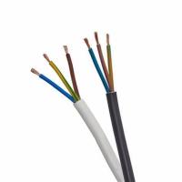 China Insulation PVC Insulation Control Cable H05vv f 3g1 0 Stranded Bare Copper Ground Wire for Low Voltage in Building House for sale