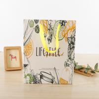 China Stylish Retail Paper Shopping Bags Unique Printed For Gift Packing for sale
