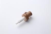 China 33/410 Wooden Lotion Pump for Body Care Shampoo SPA for sale