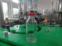 China 3000 BPH Water Glass Bottle Filling Machine With Twist off Cap , Hot Filling Machine for sale