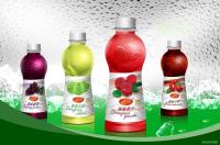 China Stainless Steel Juice Bottling Machine PET Bottle Washing Filling Capping Machine SGS for sale