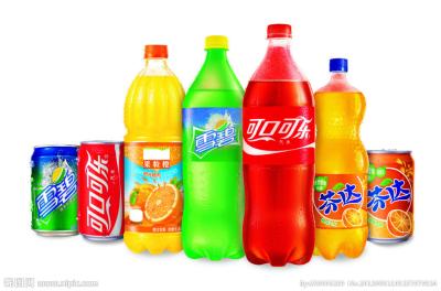 China Silvery White Carbonated Drinks Automatic Bottle Filling Machine For Beverage Industry for sale