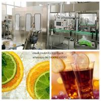 China Complete Carbonated Soft Drink Filling Machine / Drink Bottling Machine for sale