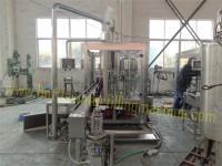China 250 - 1000ml PET Plastic Bottle Filling Machine , Pure Drinking Water Making Machine for sale