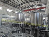 China Grapefruit Juice Filling Machine / Industrial Bottling Equipment CE SGS for sale